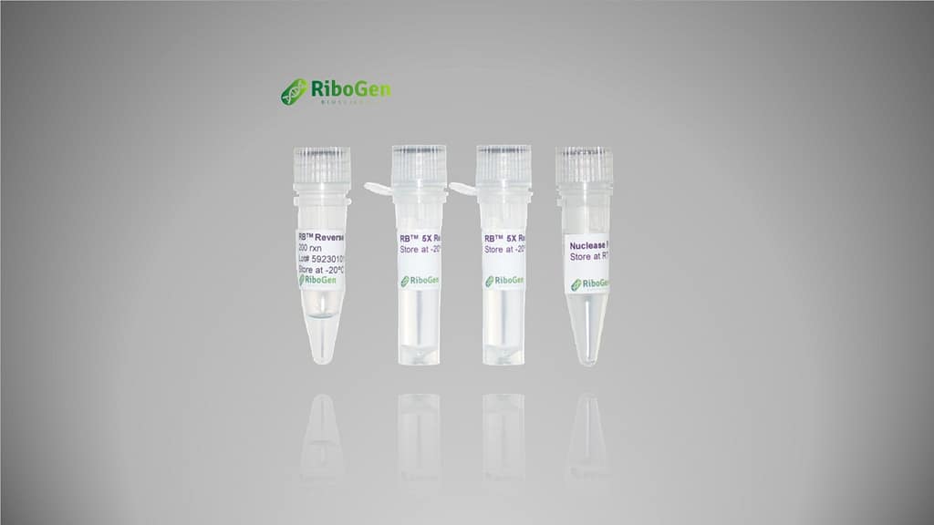 cDNA Synthesis kit 2 - Ribogen Biosciences