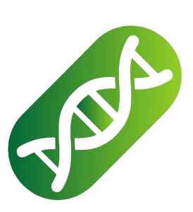 Plasmid DNA Isolation kits - Ribogen Biosciences
